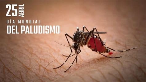 25 de abril Día Mundial del Paludismo Revista Marketing