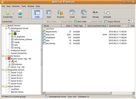 Navicat Premium Linux Basic Information And Associated File