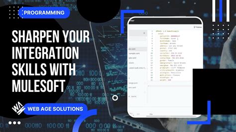 Sharpen Your Integration Skills With Mulesoft Quadexcel