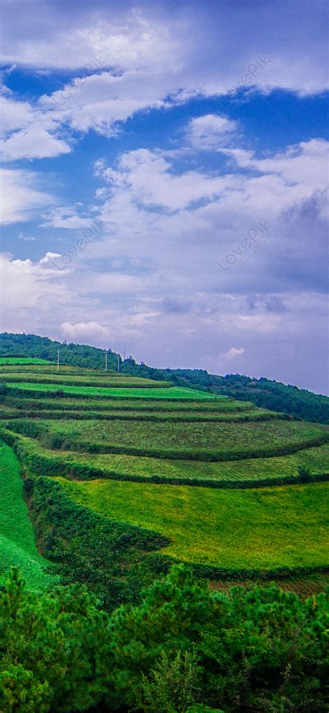 El Top Fondo De Campo Abzlocal Mx