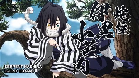 Top Obanai Iguro Wallpaper Full Hd K Free To Use