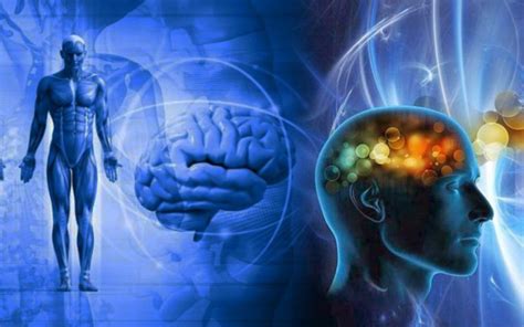 La relación cuerpo mente y una salud equilibrada Escuela de Bienestar