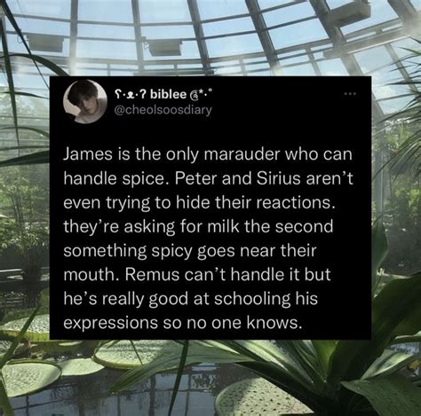 Pin By Nadine BARRET On Posts Memes The Marauders Harry Potter