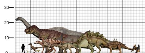 Jurassic Park Comparative Size Chart