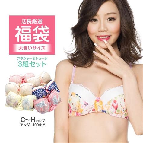大きいサイズ グラマーサイズ ブラジャー ショーツ 下着 3点セット 2021 福袋 レディース かわいい フェミニン エレガント 刺繍 総