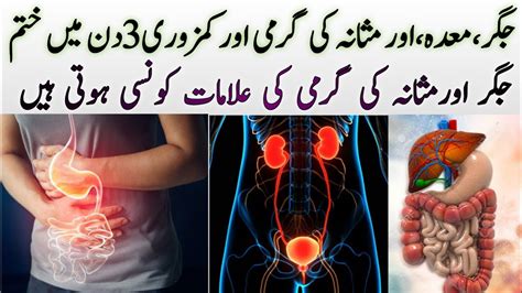 Masana Ki Kamzori Ka Ilaj Bladder Problems In Urdu Masana Ki