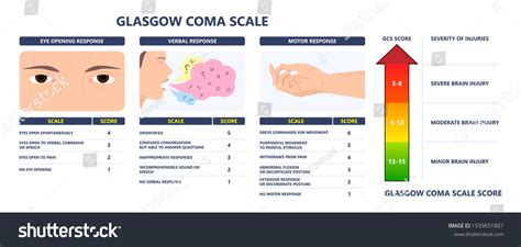 Glasgow Coma Scale Avpu Alert Verbal Vetor Stock Livre De Direitos