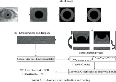 figure 1 from novel iris biometric watermarking based on singular value decomposition and