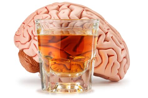 Saiba Mais Sobre Os Efeitos Do Álcool No Organismo Saúde Conhecimento