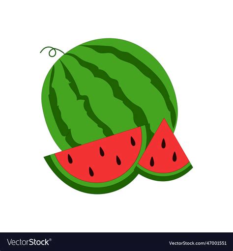 Ripe Watermelon And Juicy Slices Royalty Free Vector Image