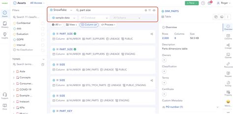 Snowflake Data Catalog What Why How To Evaluate