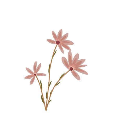 Aesthetic Png Transparent Images Png All Theme Route