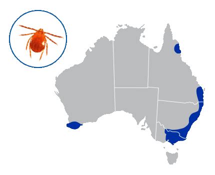 Tick Check NexGard Range