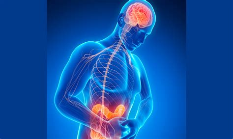 Comunicación cerebro y microbiota intestinal Yakult en Puebla