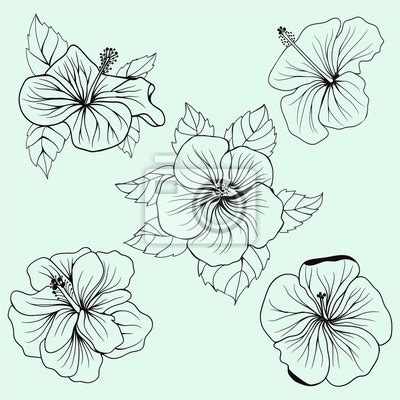 Teste padrão do cacto e das plantas carnudas na luz textura pinturas