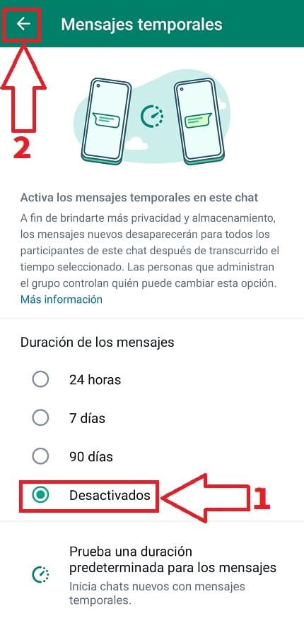 Desactivar Mensajes Temporales En Un Grupo De WhatsApp 2024