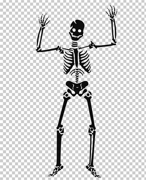 Human Skeleton Skull Png Clipart Black And White Bone Drawing Free