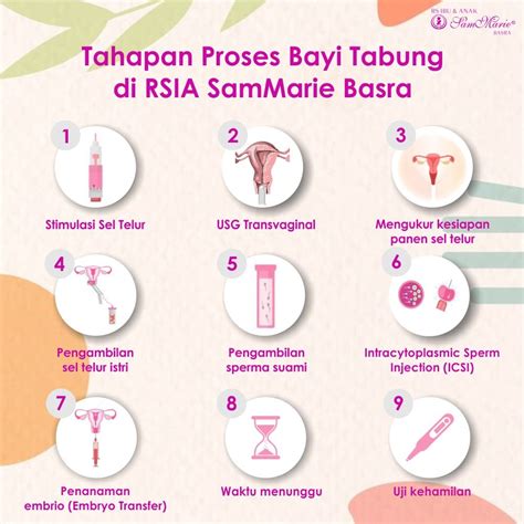 Detail Gambar Proses Bayi Tabung Koleksi Nomer 6