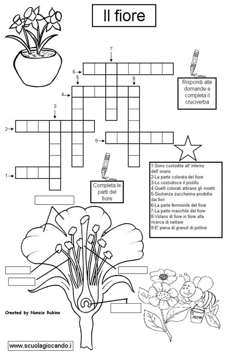 Le Parti Del Fiore Scoprite Il Lapbook E Le Schede Didattiche Artofit