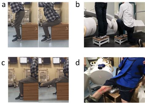 Physio Meets Science On Twitter Loaded Open Kinetic Chain Exercises