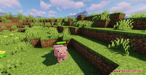 Spryzeen S Health Bars Resource Pack 1 19 2 1 19 Texture Pack Mc