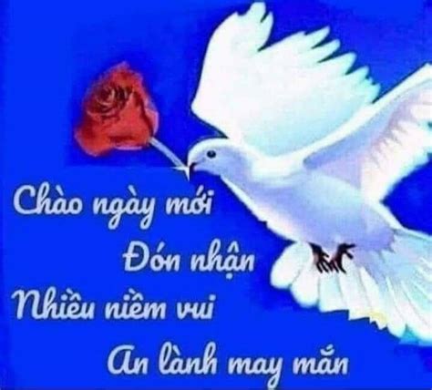 Ghim của Hoa Phượngđỏ Yang trên good morning Hình ảnh Ảnh ấn tượng