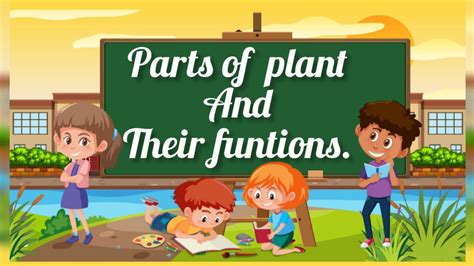 Parts Of Plant Parts Of Plant And Their Functions Different Parts Of