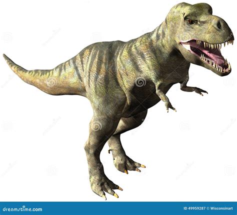 Tyrannosaurus Rex Dinosaur Illustration Isolated Stock Illustration