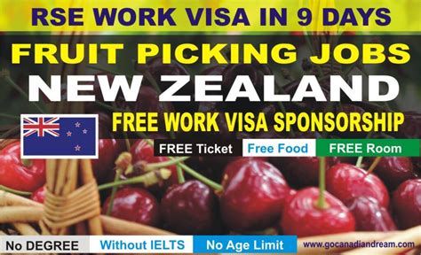 International Recruitment Agencies In New Zealand Offers Jobs With Work