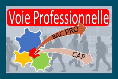 Transformation De La Voie Professionnelle EPS Lille