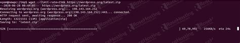 How To Install And Use Wget On Linux Rosehosting