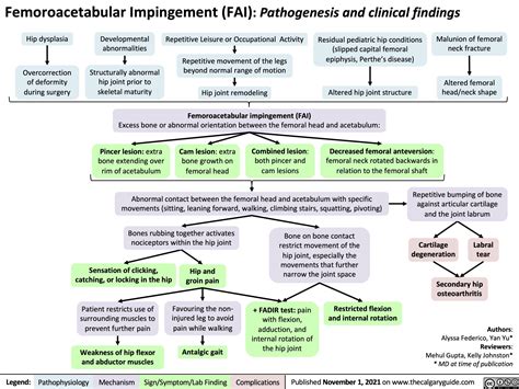 Femoroacetabular Impingement FAI Pathogenesis And Clinical Findings