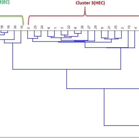 dendrogram of hierarchical clustering by using euclidian similarity download scientific diagram