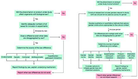 decision tree for analyzing and reporting sex and gender from download scientific diagram