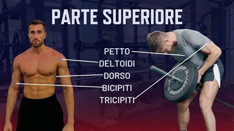 Il Miglior Allenamento Completo Per La Parte Superiore Del Corpo Per