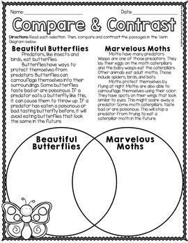 Compare And Contrast Activities Th Grade
