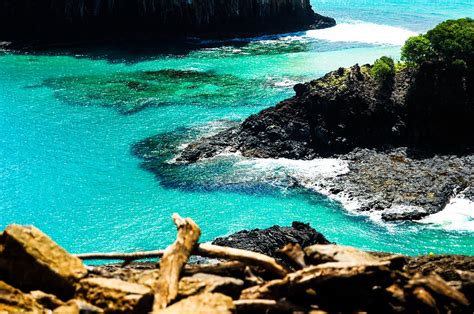 Os Melhores Passeios Em Fernando De Noronha Coconut Experience