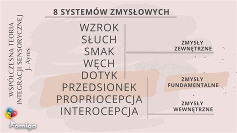 Webinar 6 Jak pomóc dziecku z zaburzoną integracją sensoryczną Famiga