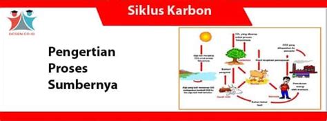 Pada Siklus Karbon Sumber Karbon Diambil Dari Meteor