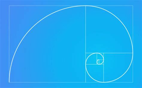 fibonacci sequence free stock vectors