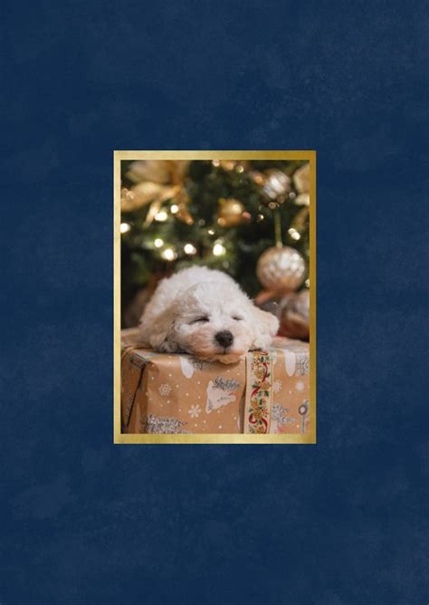 Kerstkaart Bedankt Donkerblauw Met 3 Foto S Kaartje2go