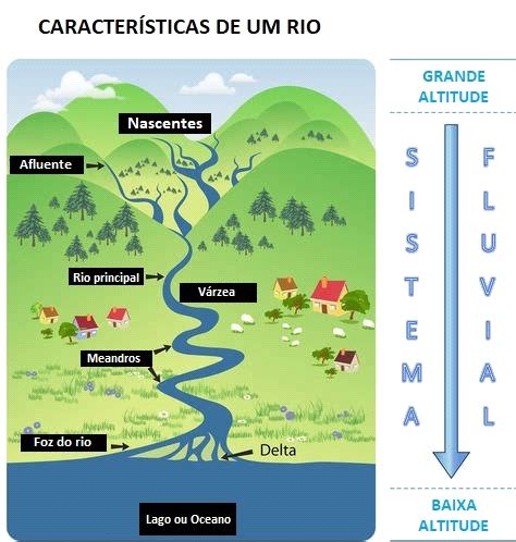 BLOG PROFESSOR ZEZINHO Características de um Rio