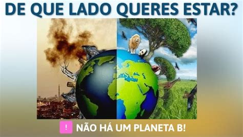Tipos De Polui O Causas Consequ Ncias E Solu Es