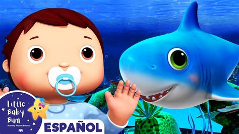 Baile del Bebé Tiburón Canciones Infantiles Dibujos Animados