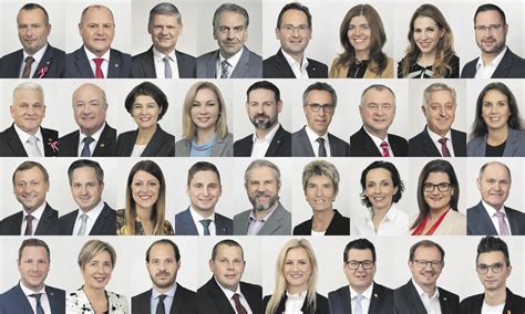 Nationalratswahl 2024 So hat Niederösterreich vor fünf Jahren gewählt