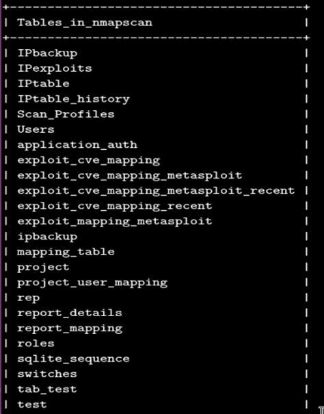 database schema for the port scanning portion of the vulnerability scanner hands on