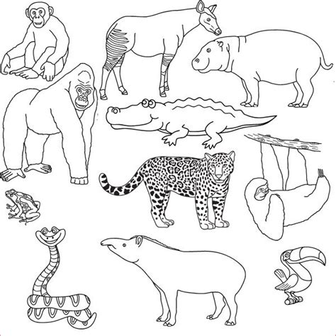 14 Magnifique Coloriage Animaux De La Savane Gallery COLORIAGE