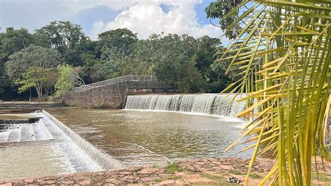 O Que Fazer Em Palmas Tocantins Viagens E Caminhos
