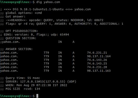 Dig Command In Linux Usage Examples