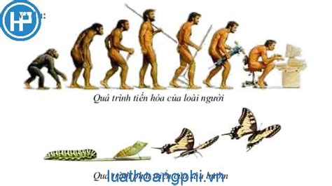 Phân tích nội dung quy luật phủ định của phủ định
